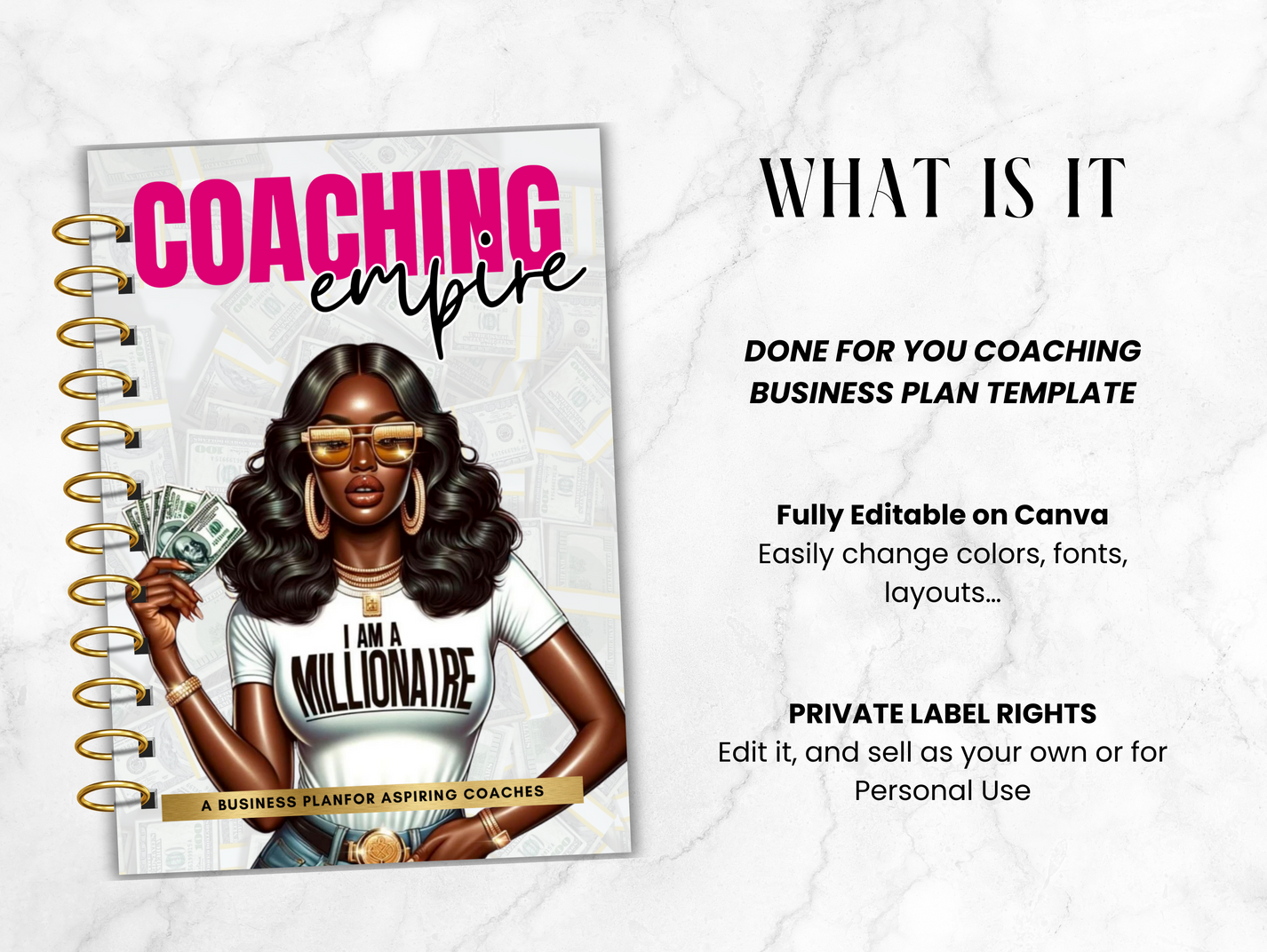 PLR Coaching Business Plan – PLR Digital Planner